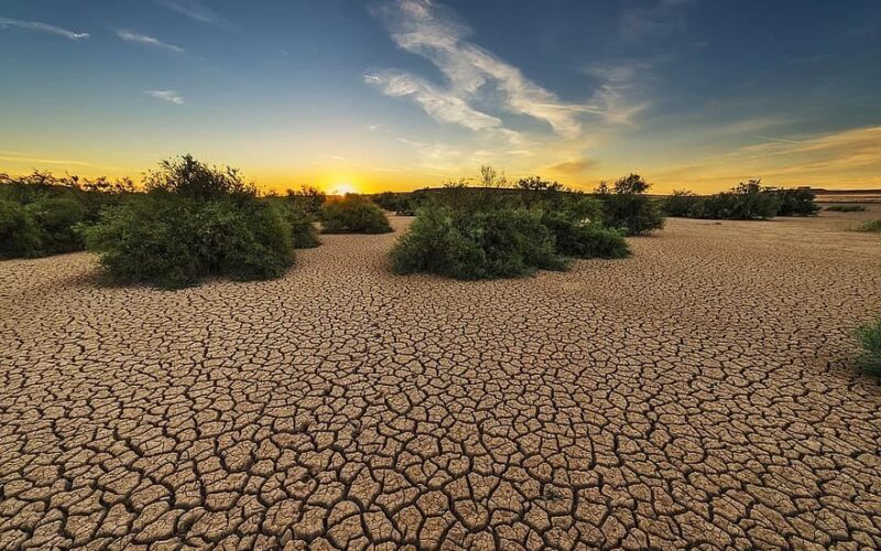 Emergência climática é um assunto mais impactante do que todas as ...