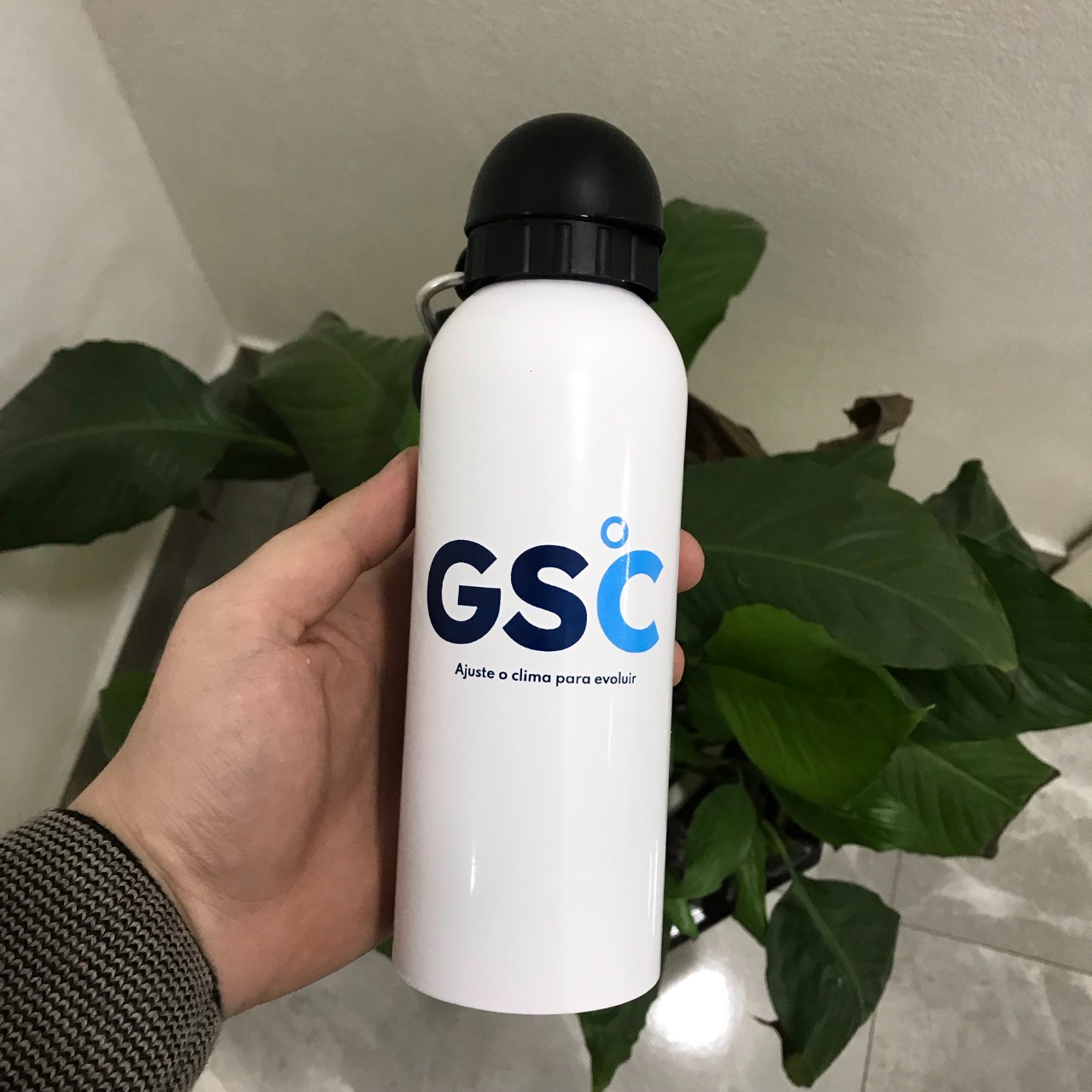 Tipos de Squeezes e Garrafas e como escolher