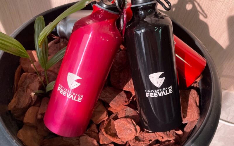 Tipos de Squeezes e Garrafas e como escolher